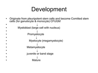 White blood cells 1.ppt