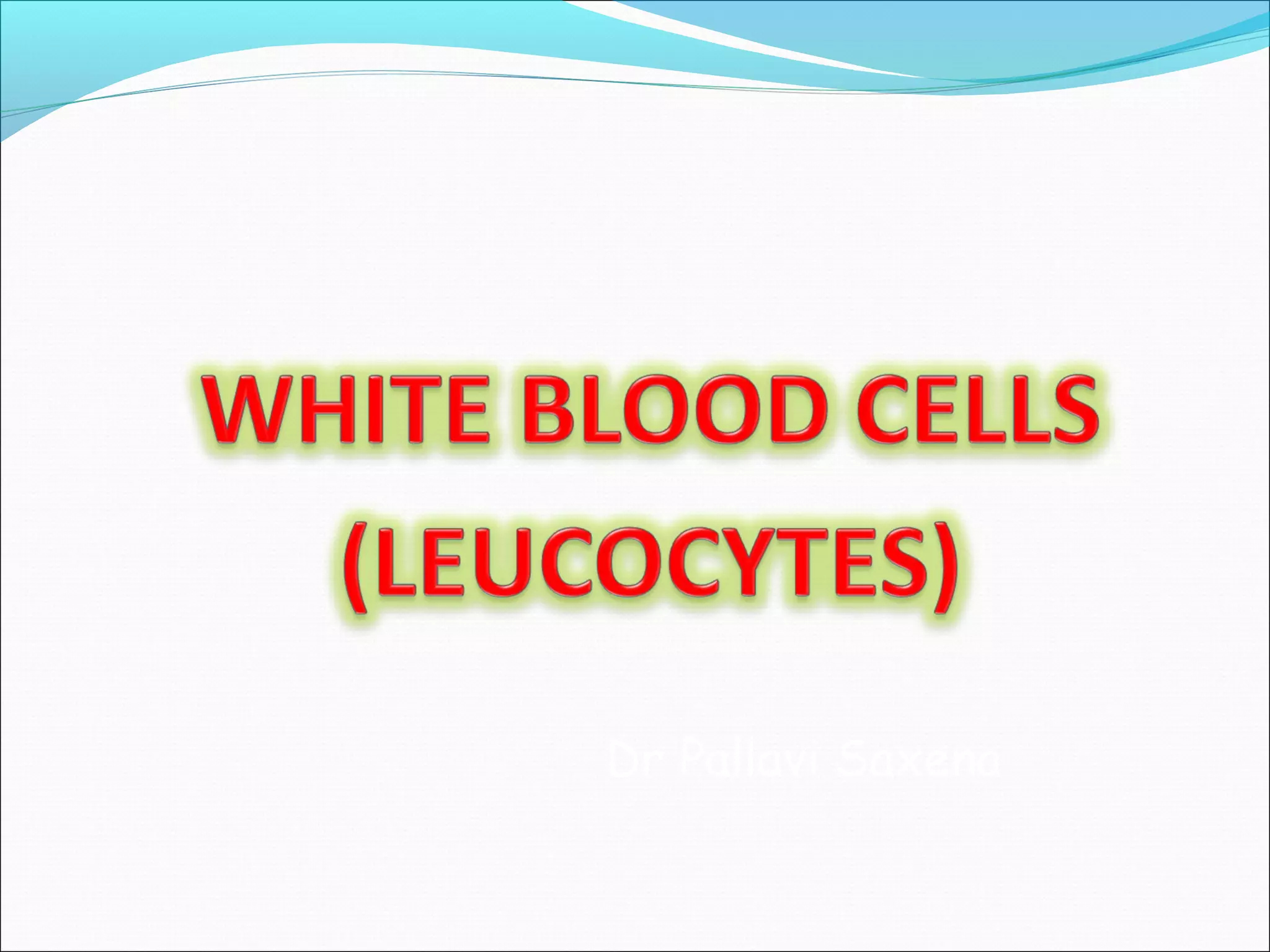 White blood cells | PPT