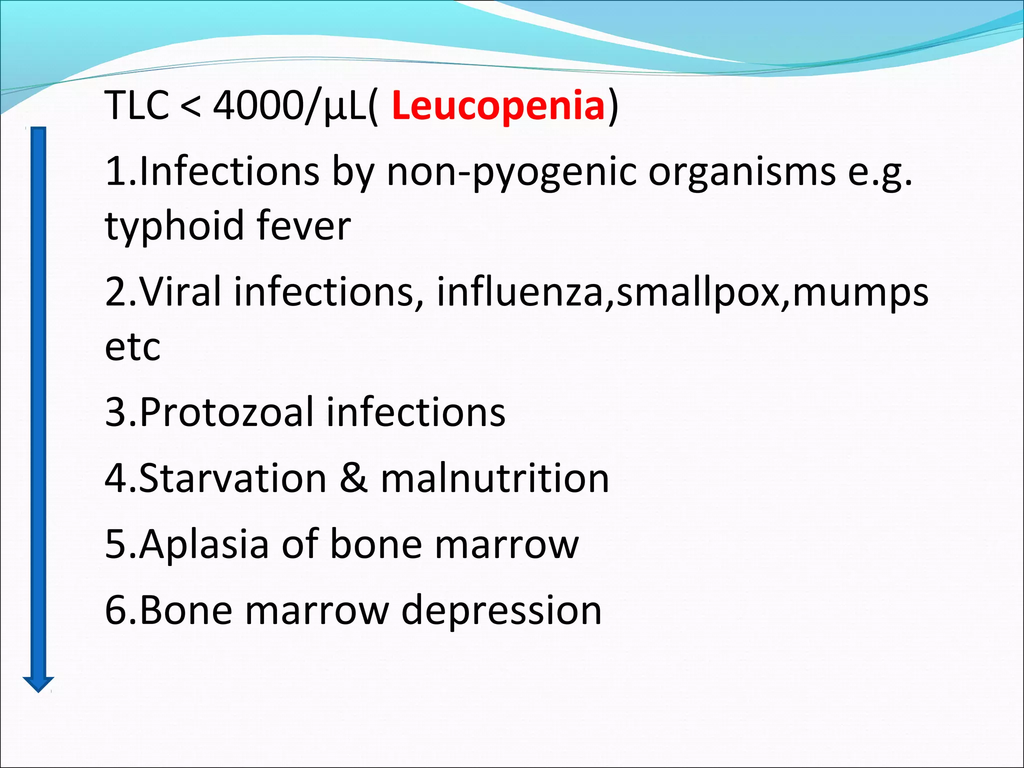 White blood cells | PPT