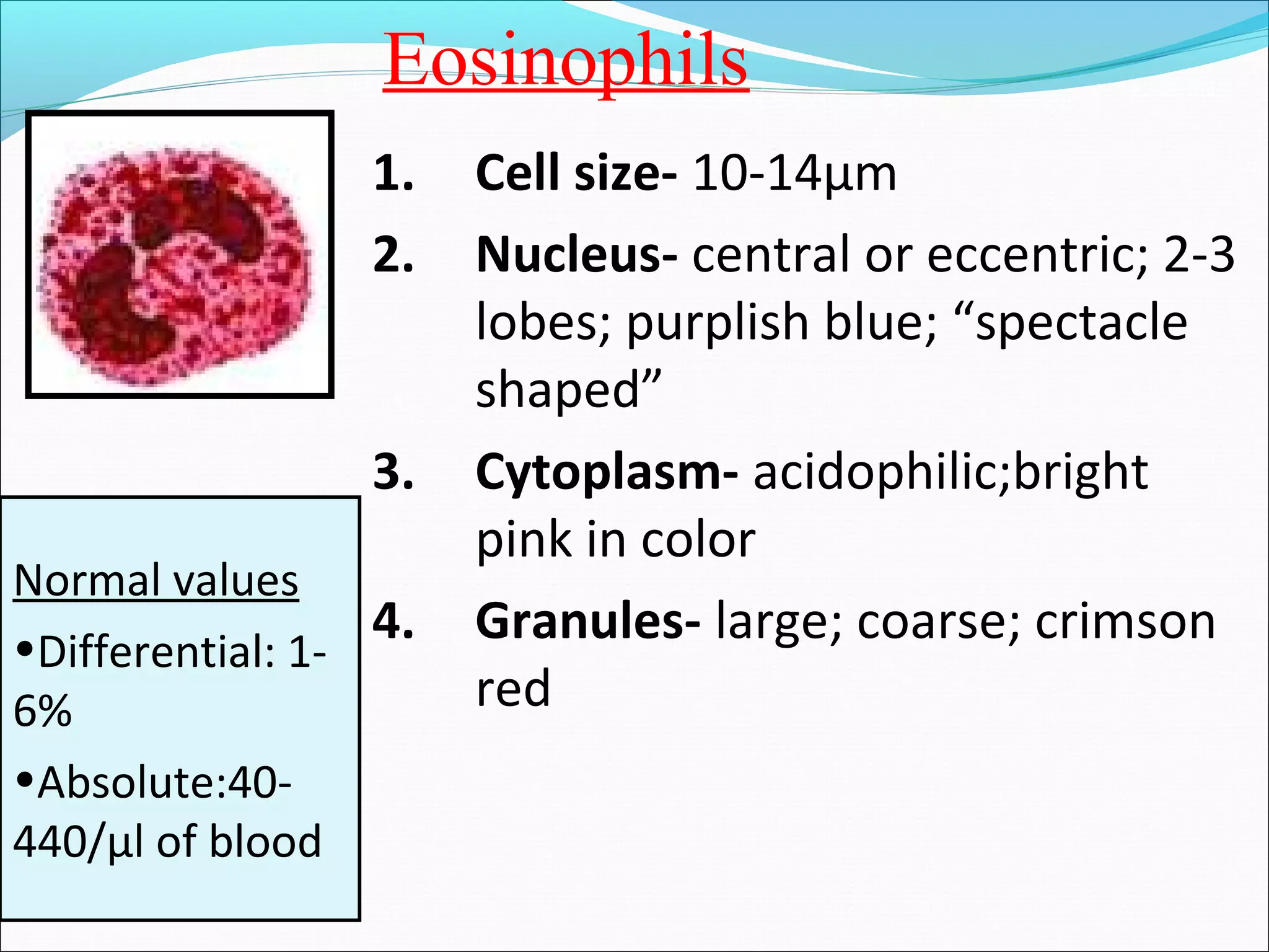 White blood cells | PPT