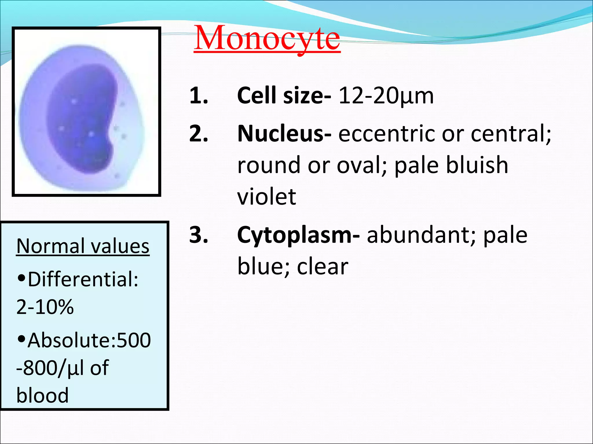 White blood cells | PPT