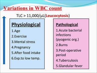 White blood cells | PPT