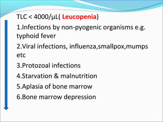 White blood cells | PPT