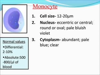 White blood cells | PPT