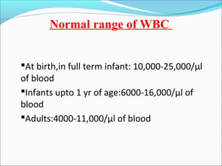 White blood cells | PPT