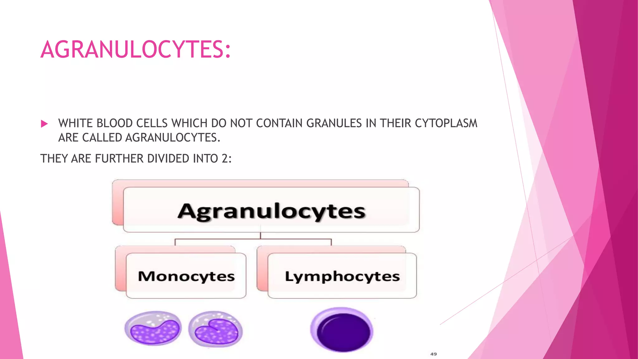 White blood cells [wbc] | PPTX | Blood Disorders | Diseases and Conditions
