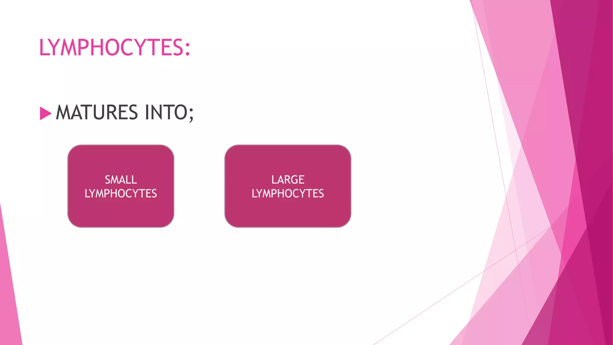 White blood cells [wbc] | PPTX | Blood Disorders | Diseases and Conditions