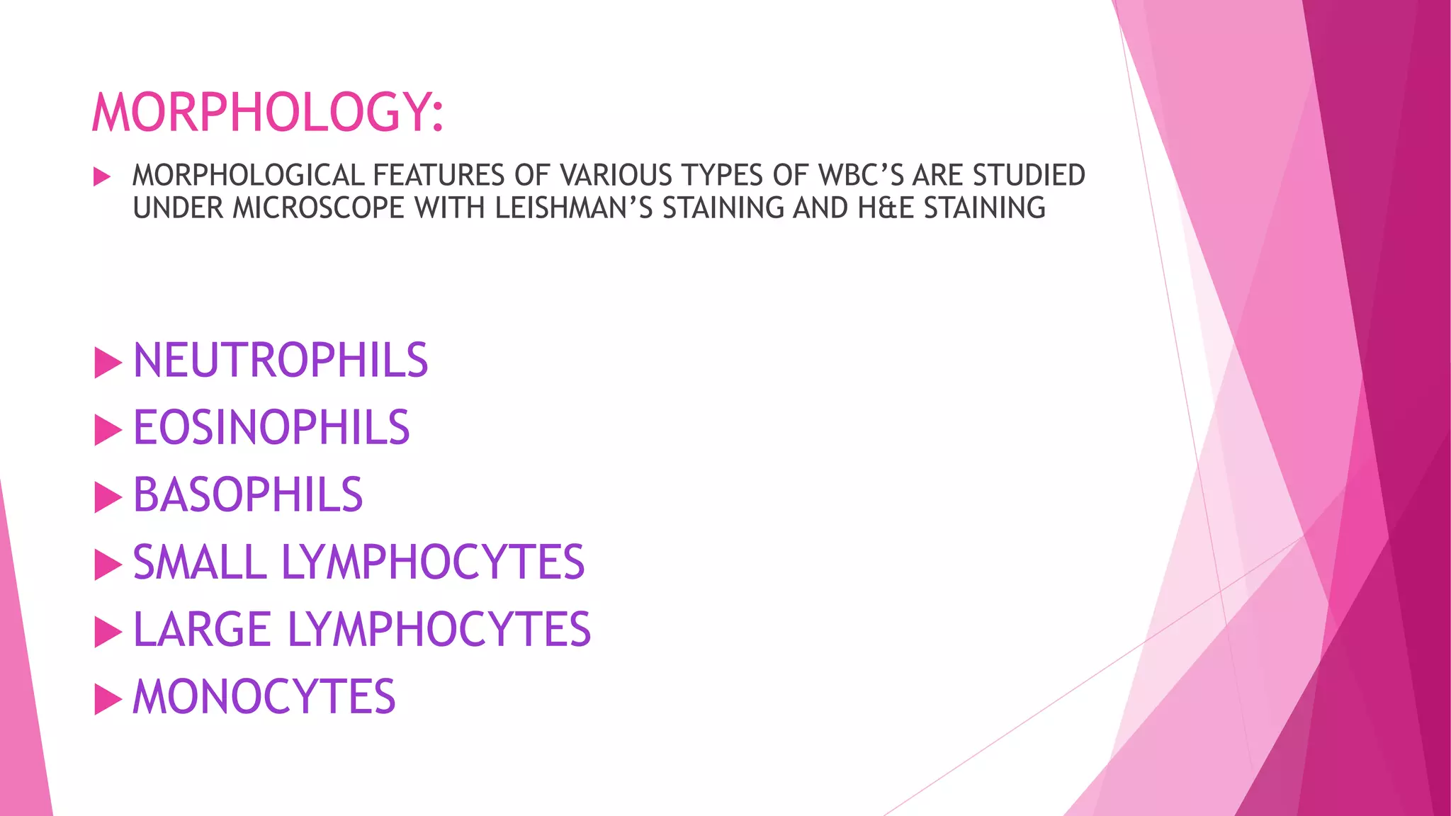 White blood cells [wbc] | PPTX