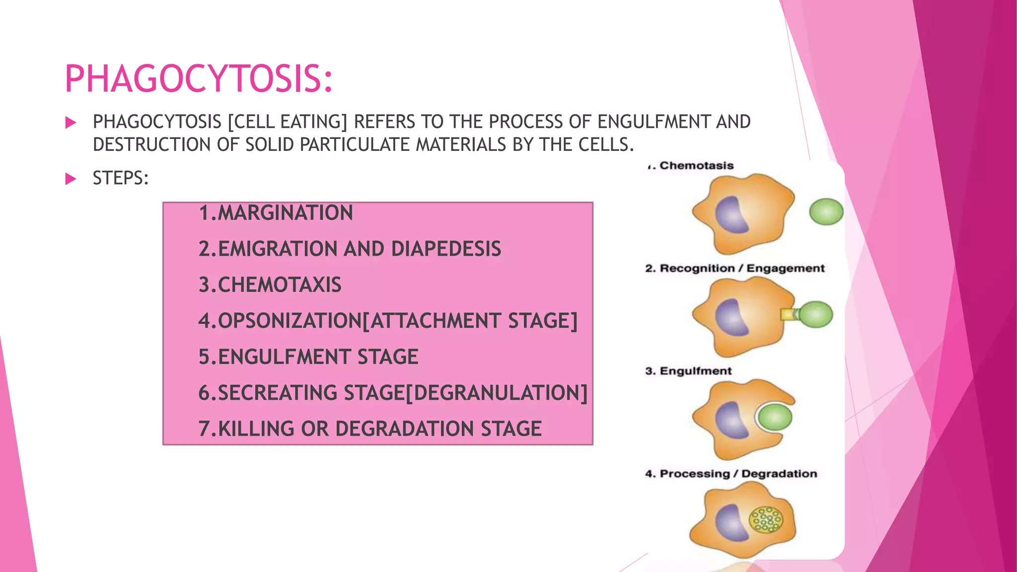 White blood cells [wbc] | PPTX