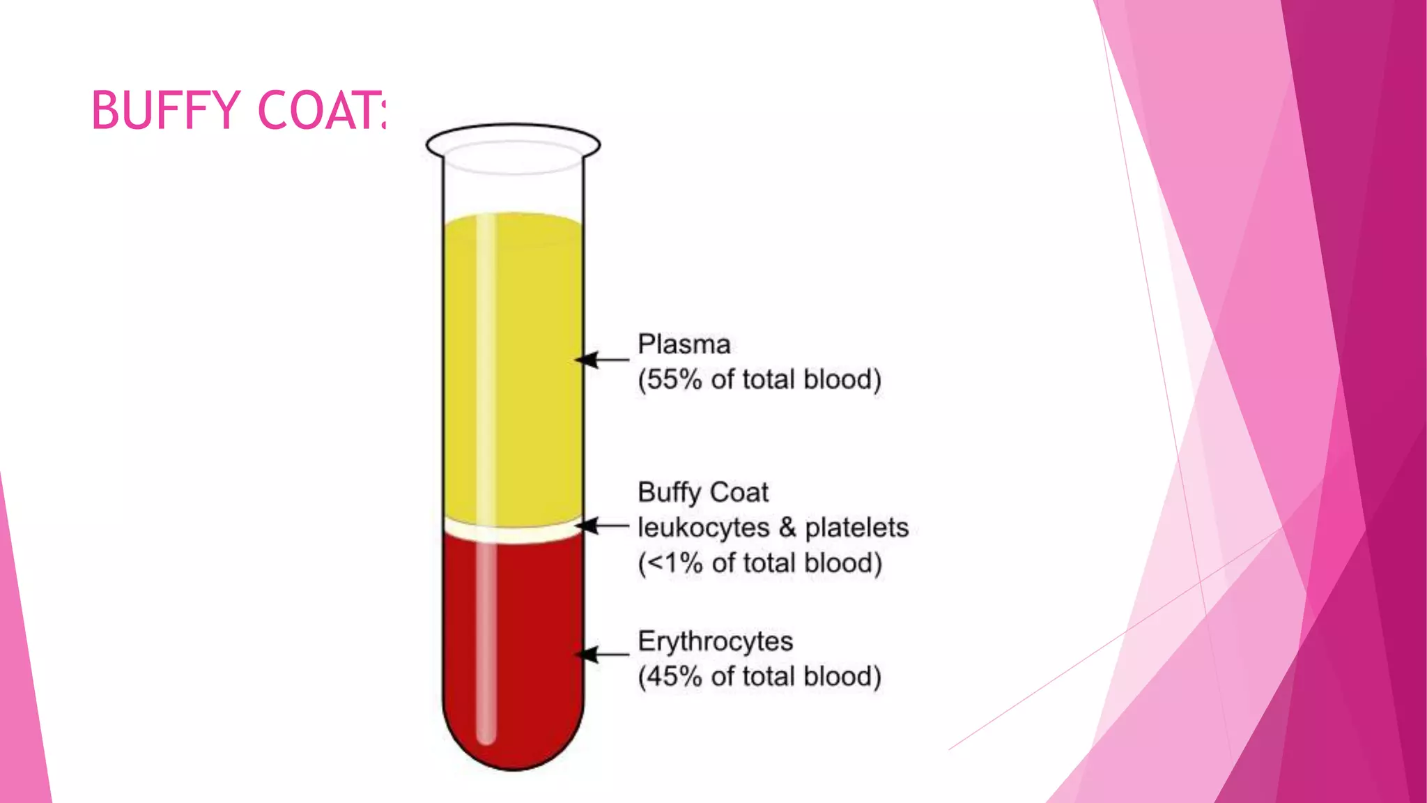 White blood cells [wbc] | PPTX | Blood Disorders | Diseases and Conditions