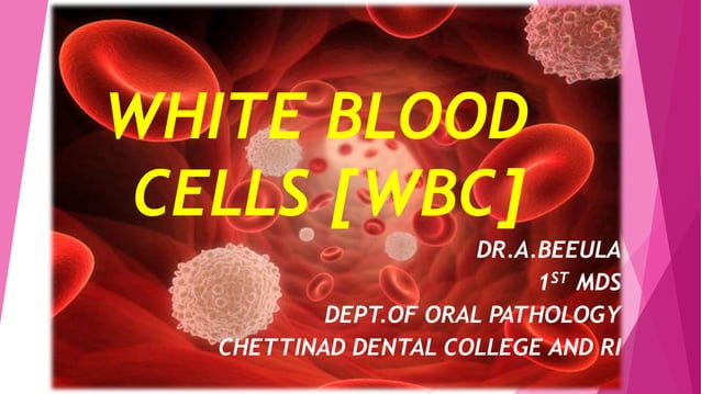 White blood cells [wbc] | PPTX | Blood Disorders | Diseases and Conditions