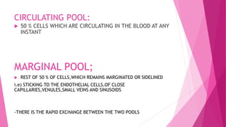 White blood cells [wbc] | PPTX