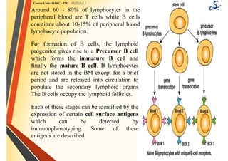 White Blood Cell | PDF