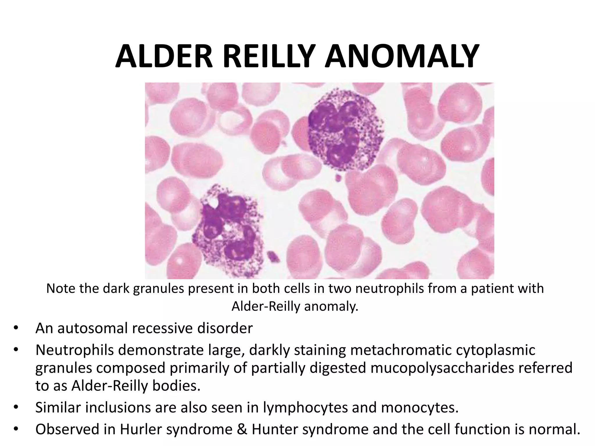 Benign White blood cell (WBC) Disorders | PPTX
