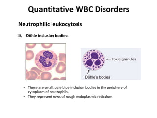 Wbc Inclusion Bodies