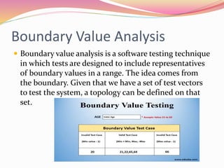 White box & black box testing | PPT