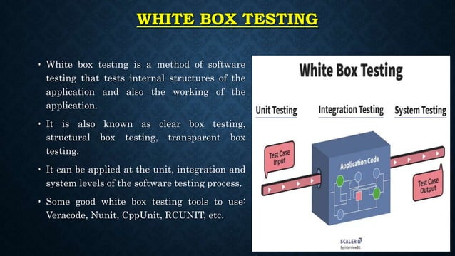 WHITE BOX TESTING ashu.pptx