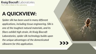 Testing Spider Silk-Based Protective Applications| Renowned Laboratory ...