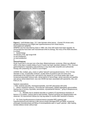 white_dot_syndromes.pdf