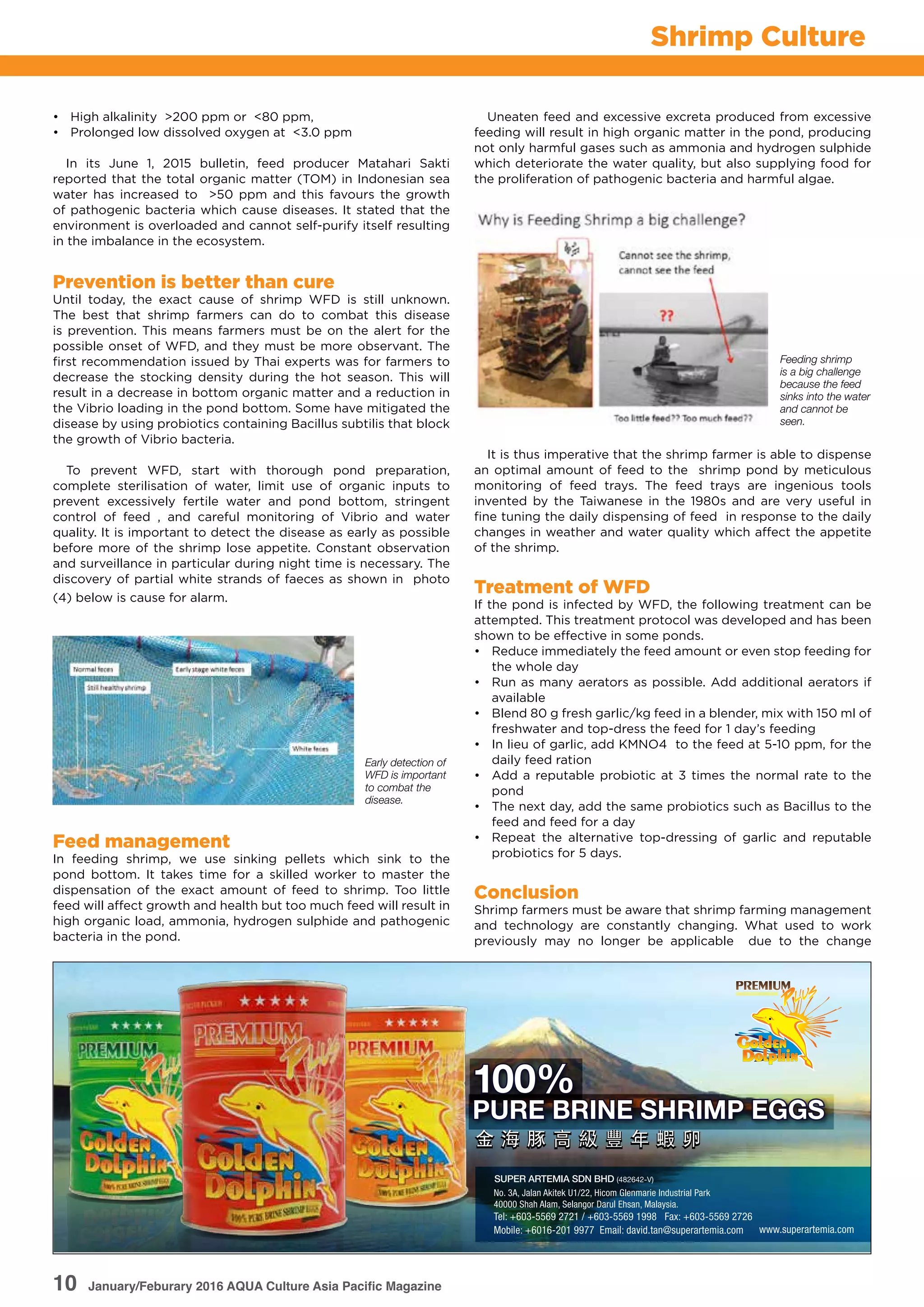 White feces disease in shrimp | PDF