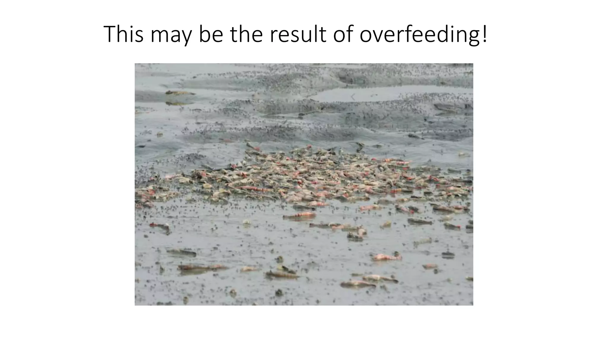 White feces disease, prevention and treatment.1804