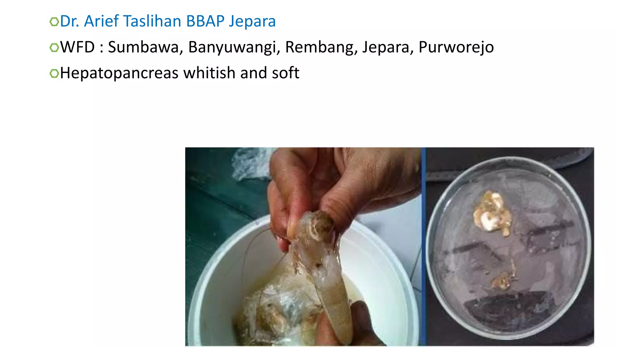 White feces disease, prevention and treatment.1804