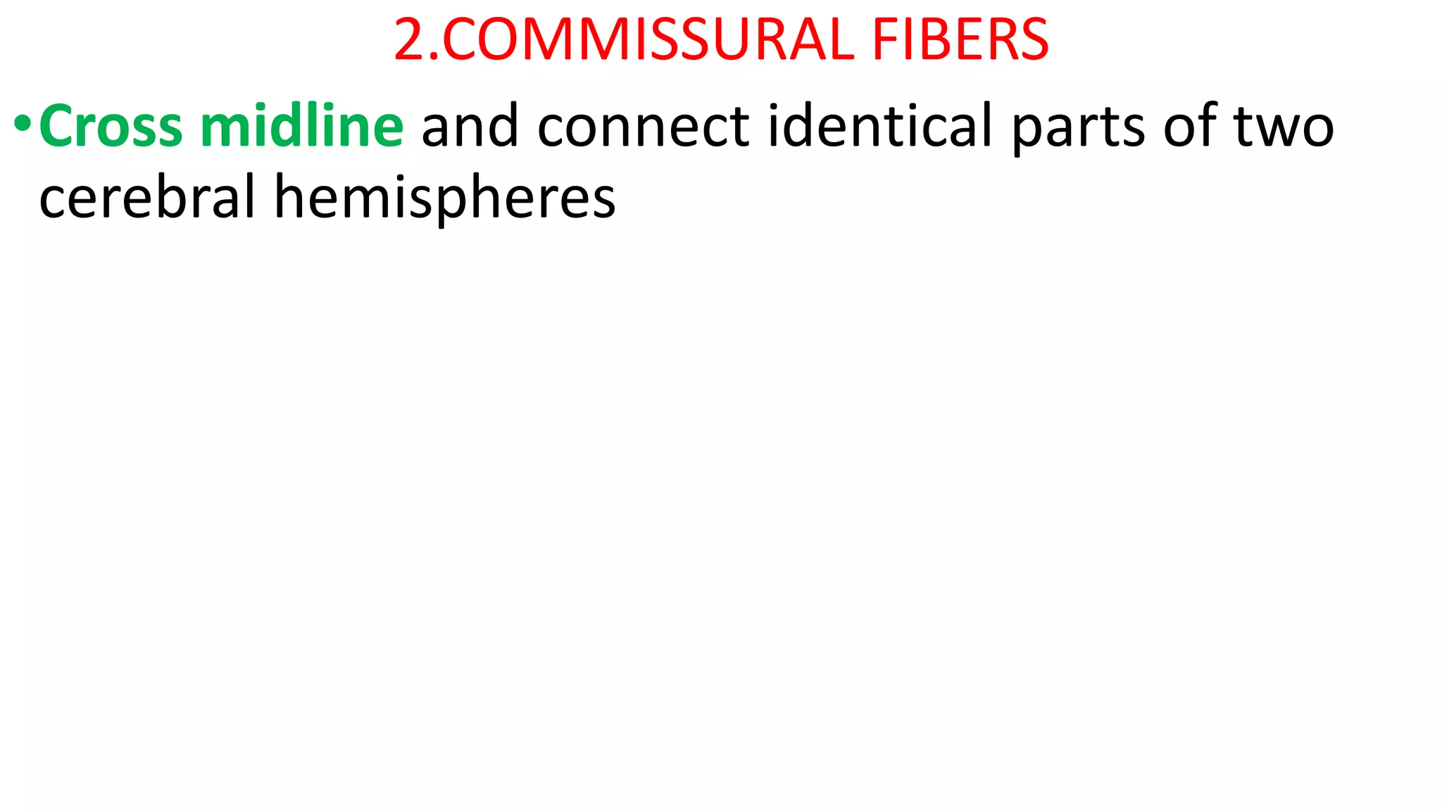 WHITE FIBERS OF CEREBRUM.pptx