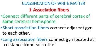 WHITE FIBERS OF CEREBRUM.pptx