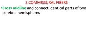 WHITE FIBERS OF CEREBRUM.pptx