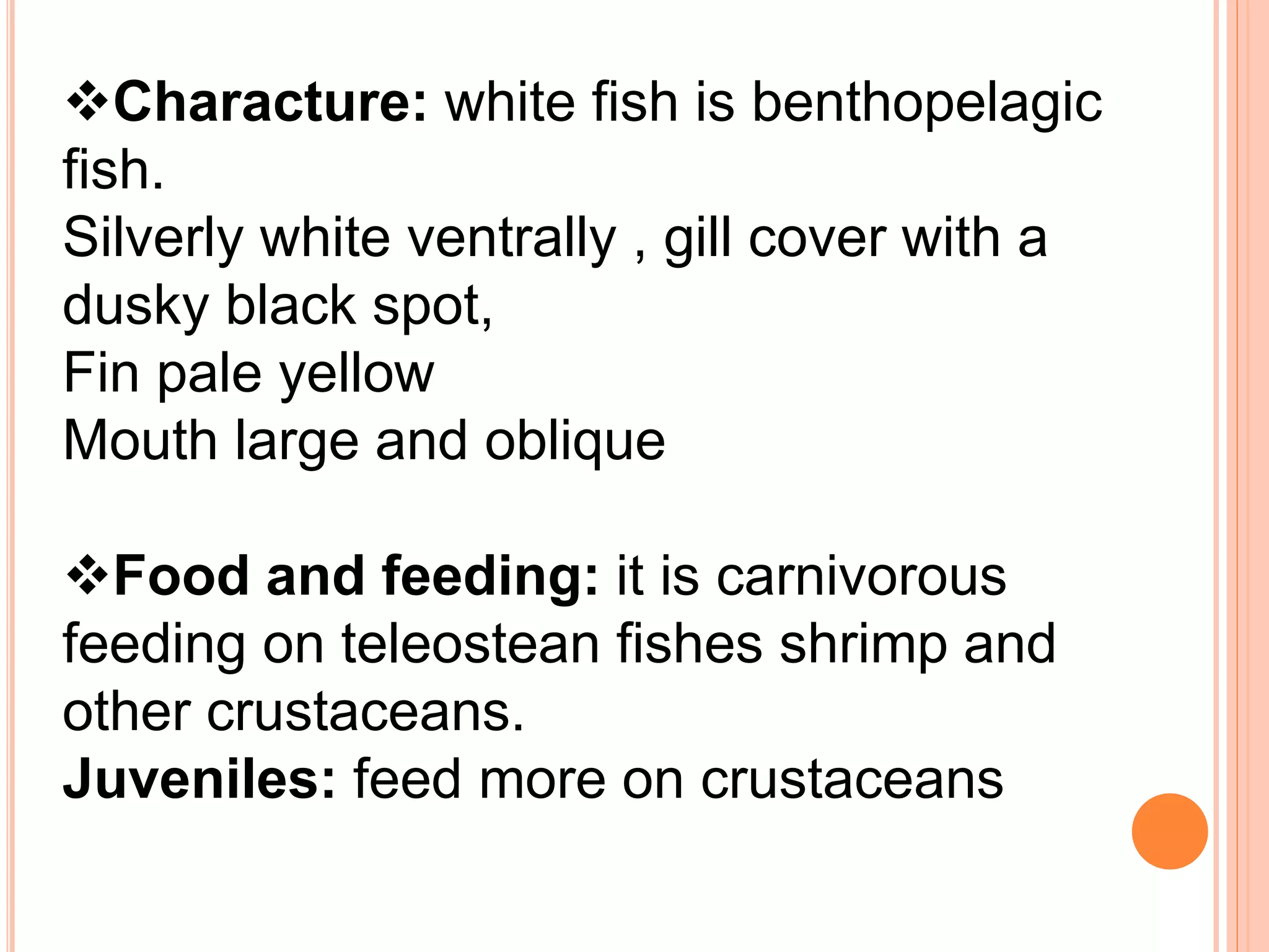 White fish fishery | PPTX