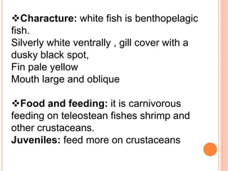 White fish fishery | PPTX