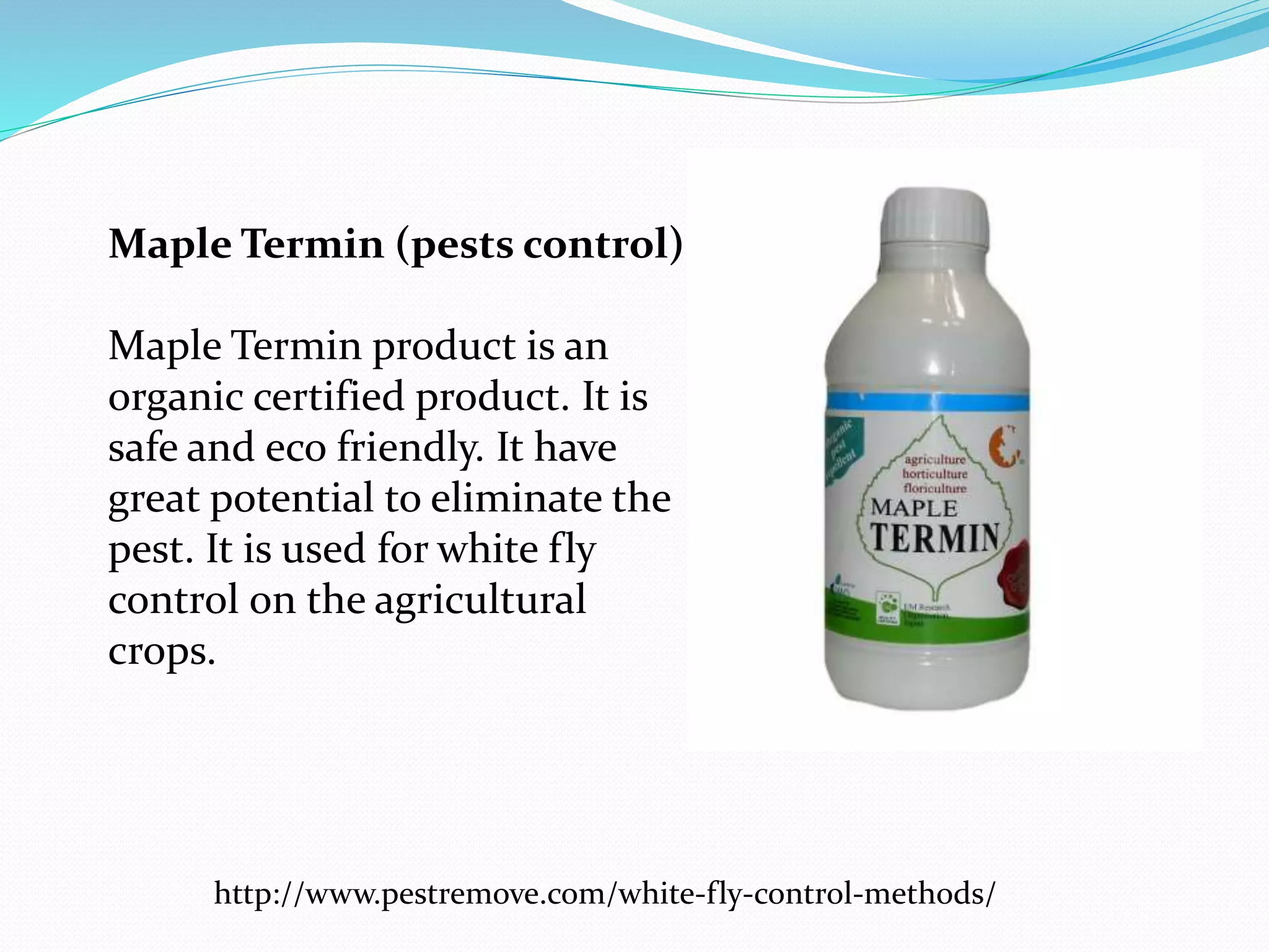 White fly control methods | PPTX