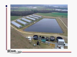 Inhibition Of Total Gas Production, Methane, Hydrogen Sulfide, And ...