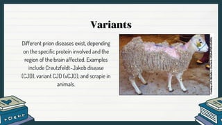 Prion protein | PPTX