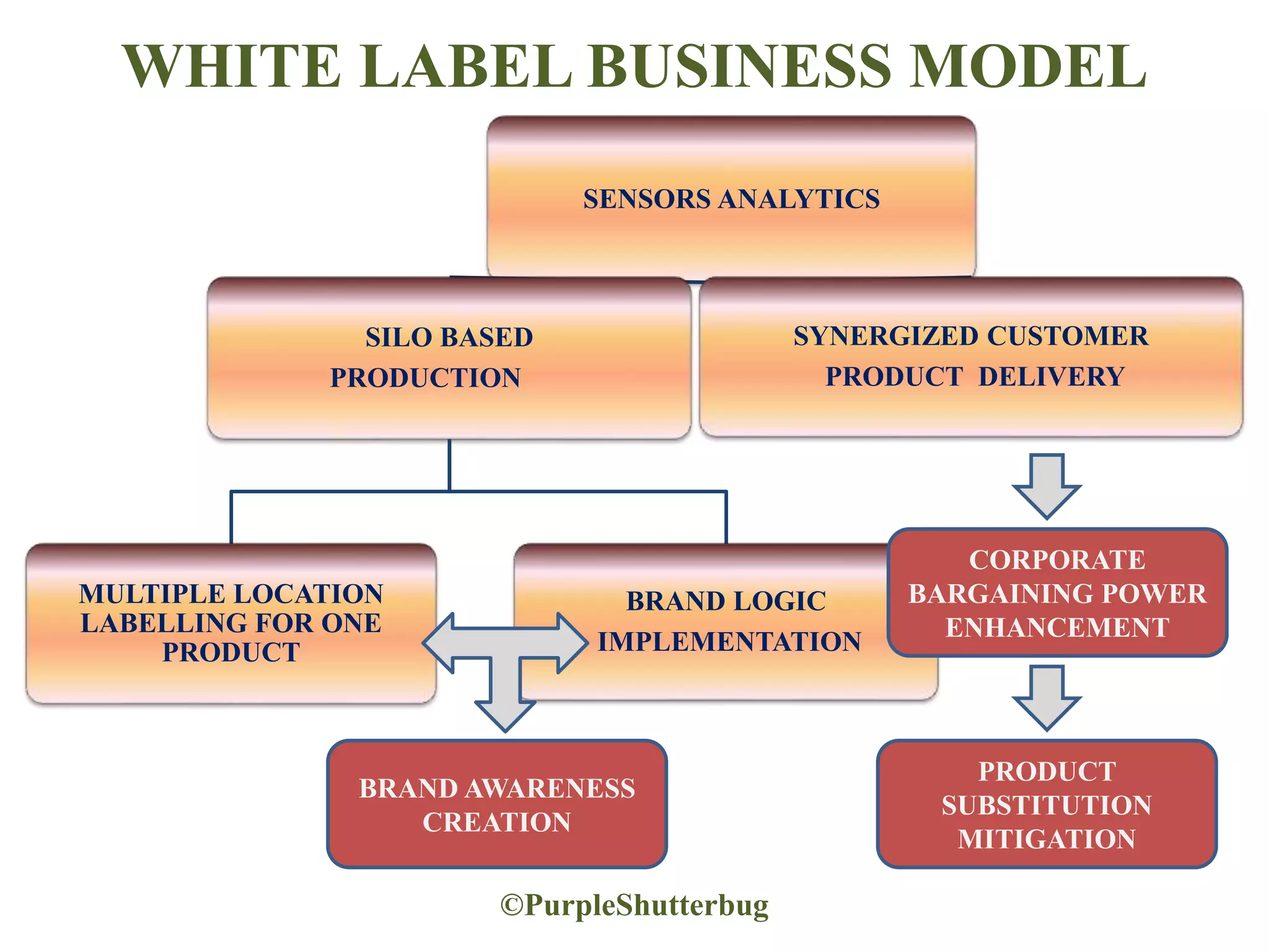 WHITE LABEL BUSINESS MODEL | PPTX