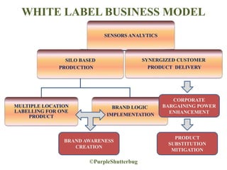 WHITE LABEL BUSINESS MODEL | PPT