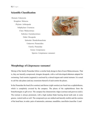 Introduce to Whiteleg shrimp (Litopenaeus vannamei) is a threat in ...