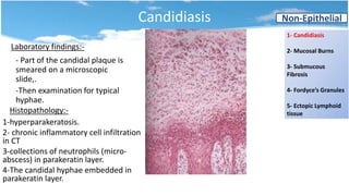 White Lesions of Oral Cavity - M. Abdelhamid | PPTX