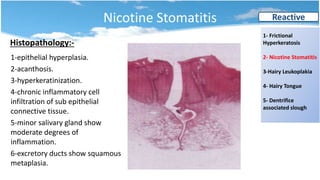 Nicotine Stomatitis Histopathology