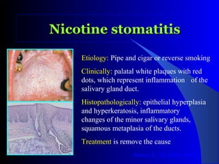 Nicotine Stomatitis Histopathology