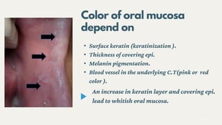 white lesions of oral mucosa........pptx