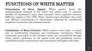 THE ANATOMY OF WHITE MATTER AND ITS ANORMALIES.pptx