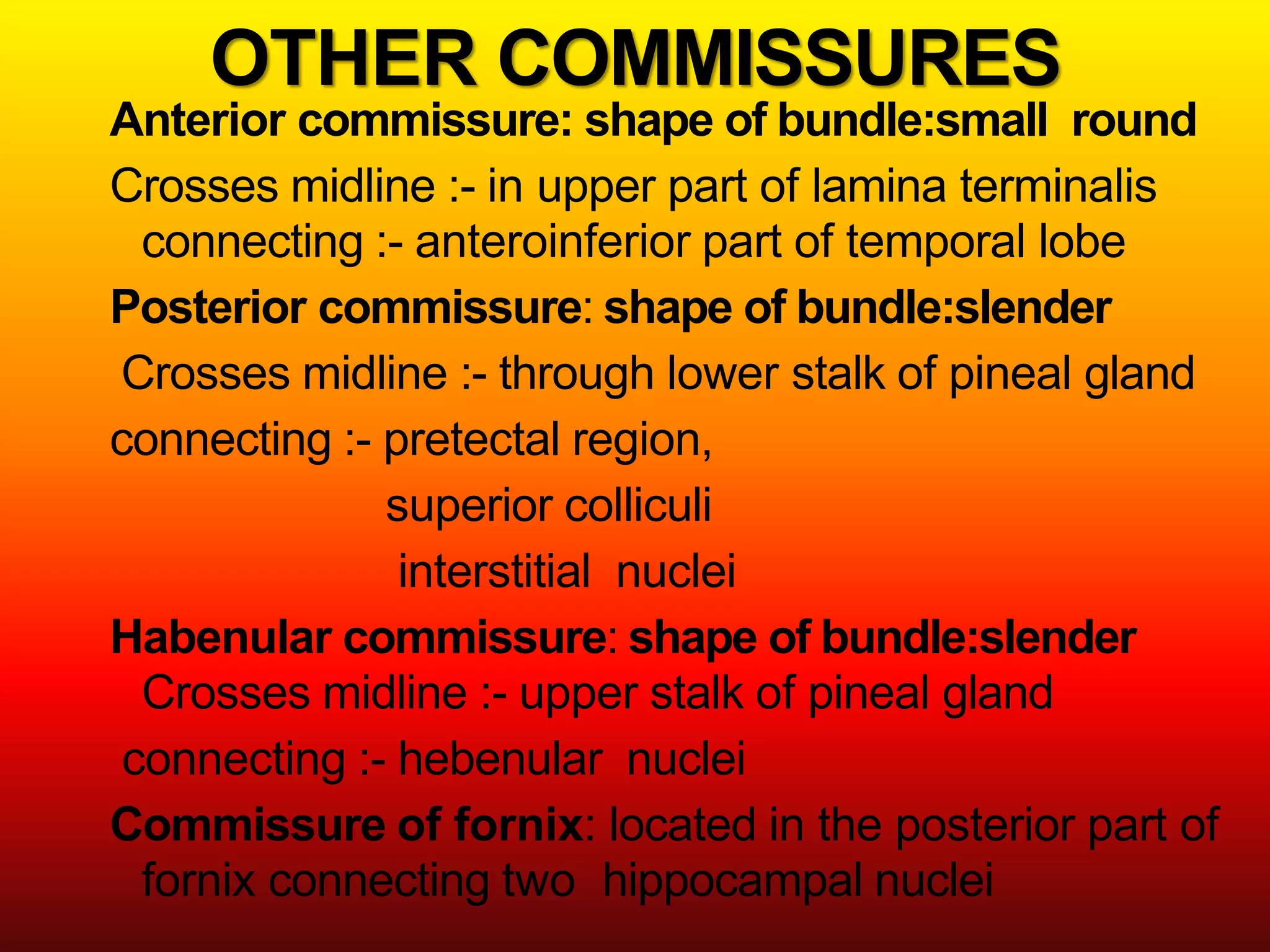 White matter of cerebral hemisphere corpus callosum | PDF | Brain and ...