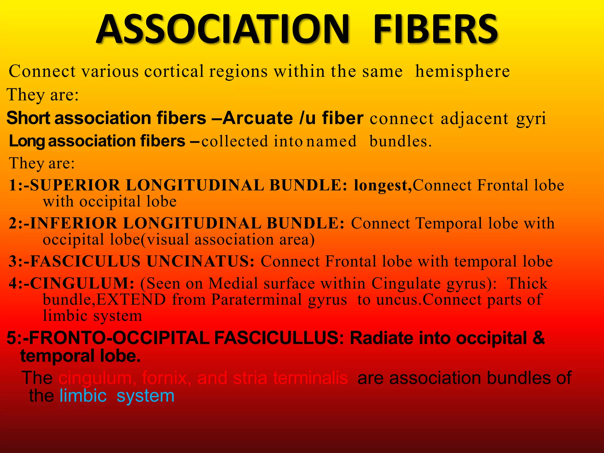 White matter of cerebral hemisphere corpus callosum | PDF | Brain and ...