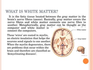 White Matter Project .Pptx
