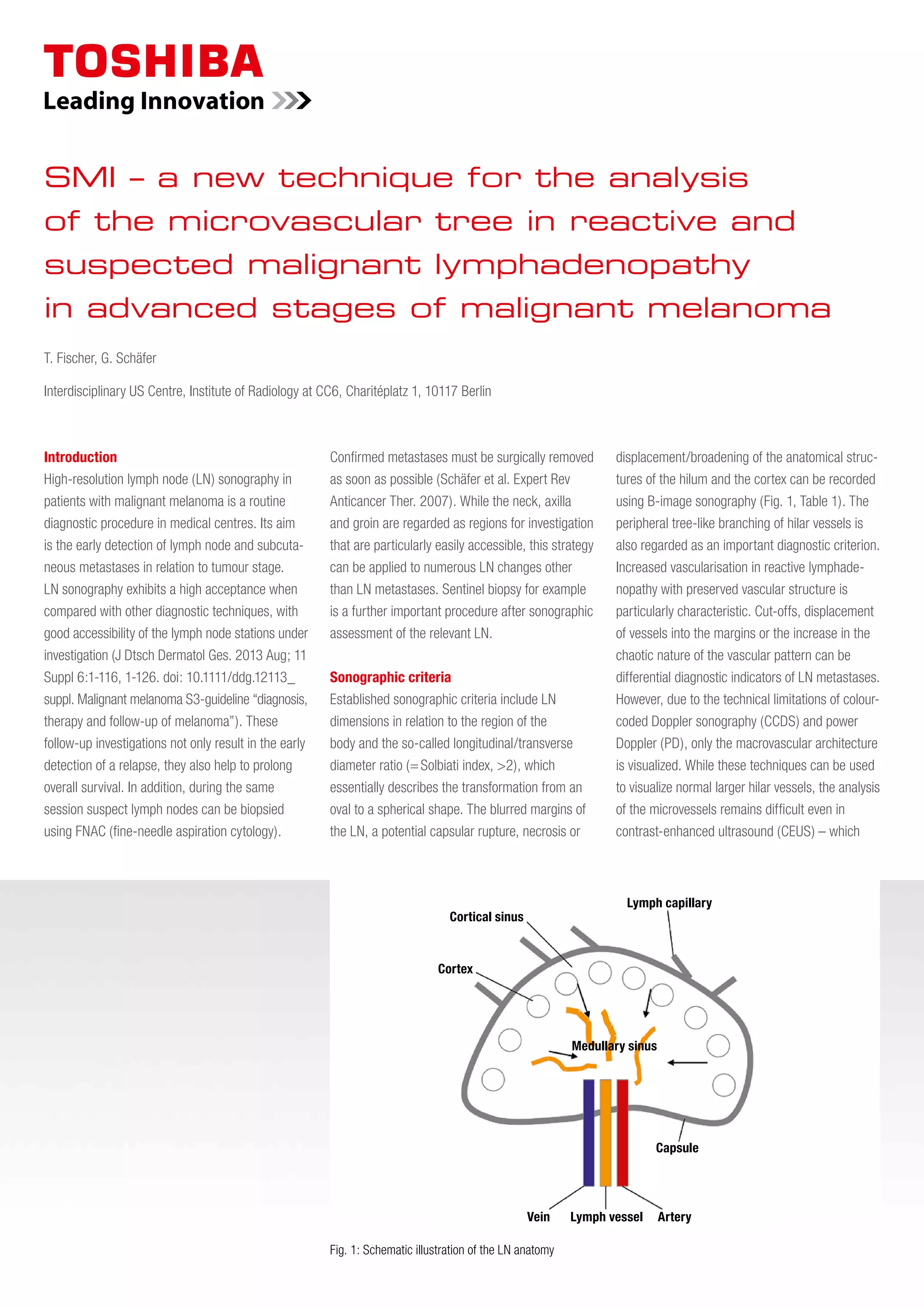 White paper "SMI – a new technique for the analysis of the ...