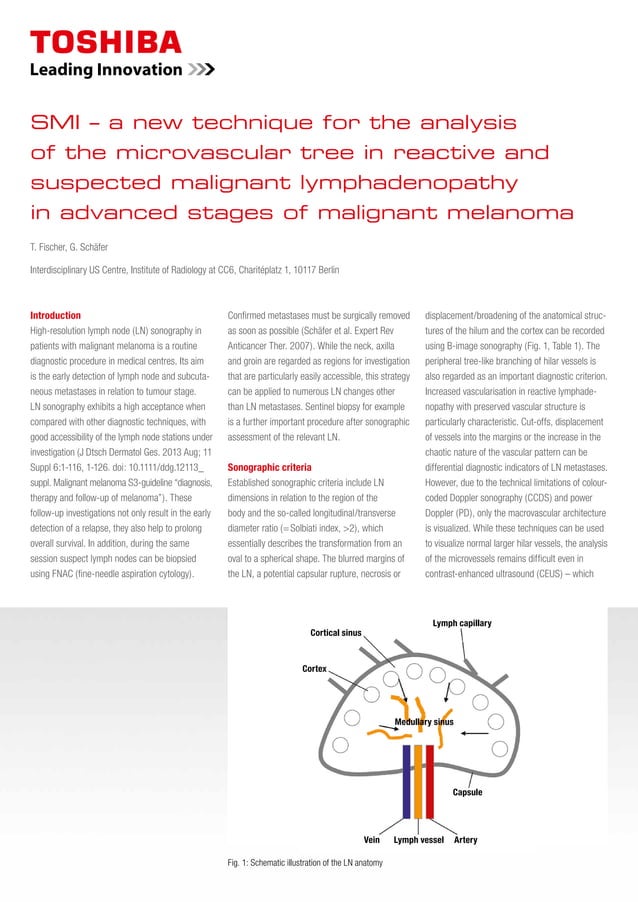 White paper "SMI – a new technique for the analysis of the ...