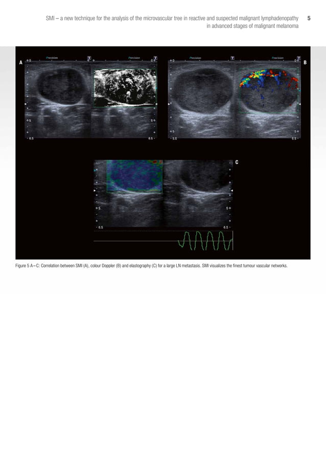 White paper "SMI – a new technique for the analysis of the ...
