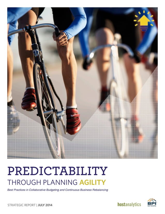White Paper: Predictability Through Planning Agility | PDF