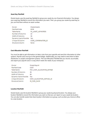 Details and Set-up of Other FlexFields in Oracle E-Business Suite | PDF